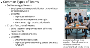 International Business Strategy and Structure: How Global Companies ...