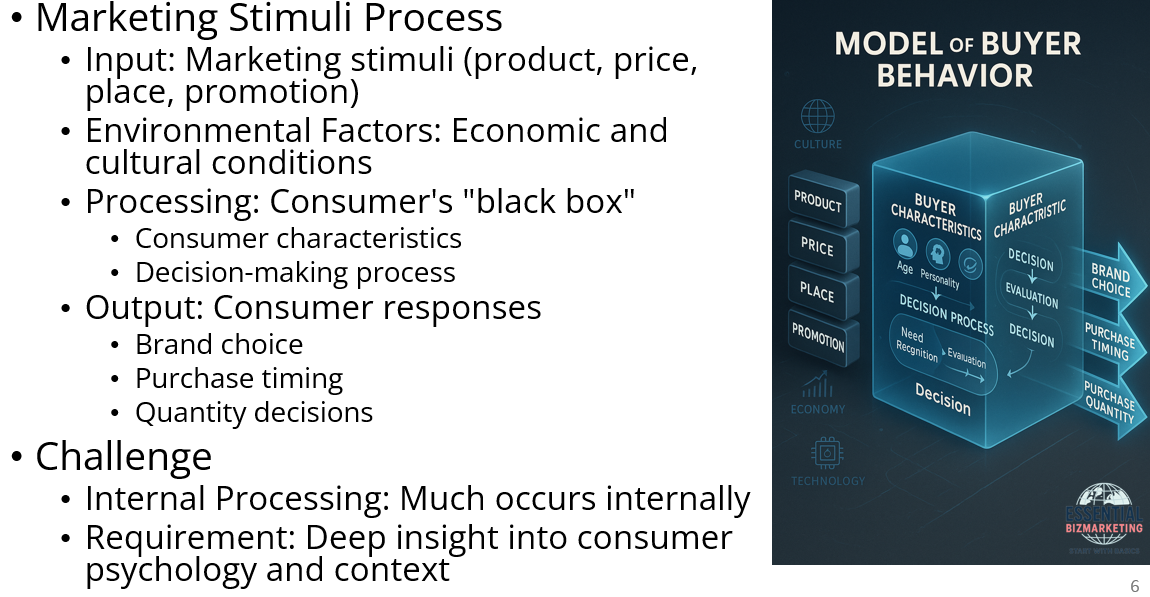 Understanding Consumer Behavior: Key Factors & Buyer Decisions