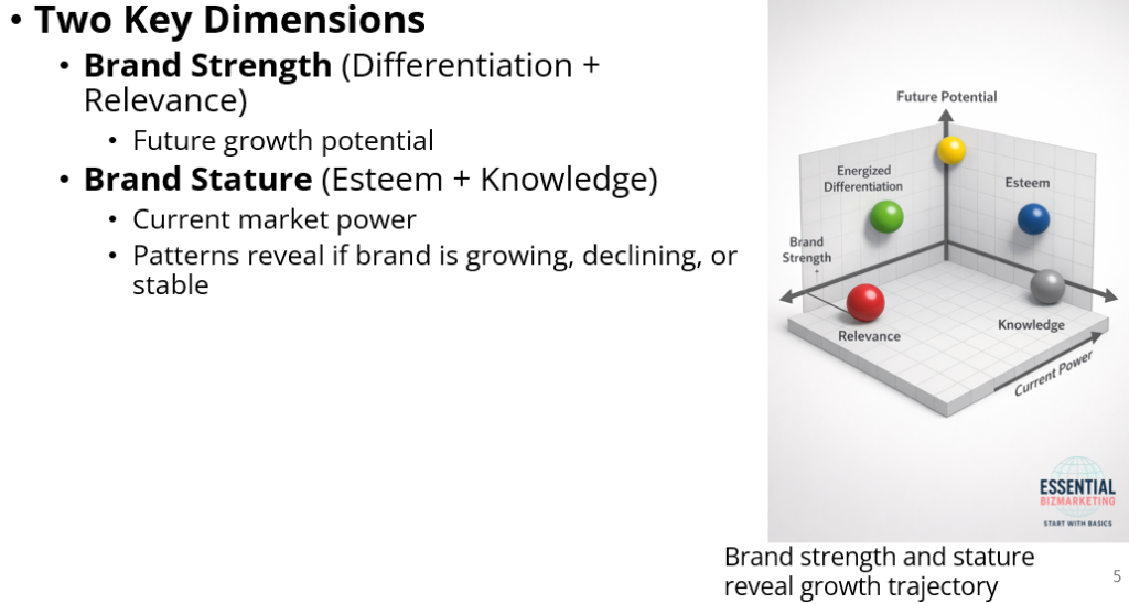 Brand Asset Valuator (BAV) Explained: Measuring Brand Equity